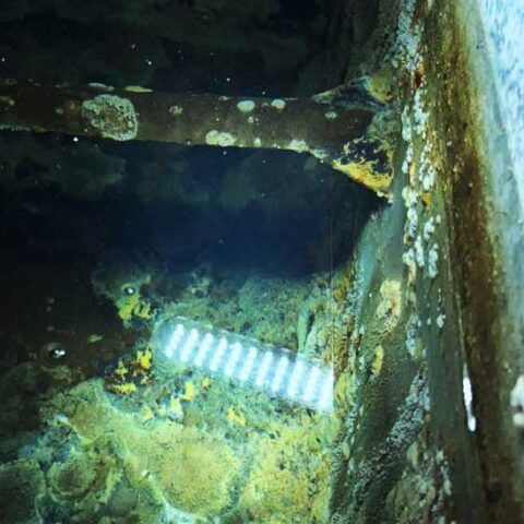 Hidden Danger: The Risks of Neglected Water Tanks in Your Building